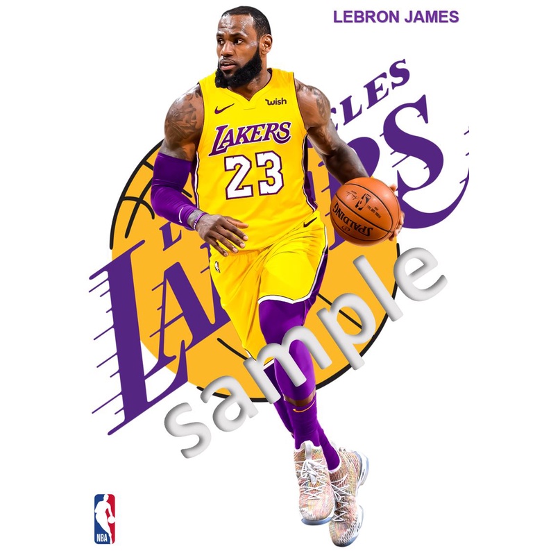 NBA Posters / NBA Laminated Posters / Lebron james / Stephen Curry ...