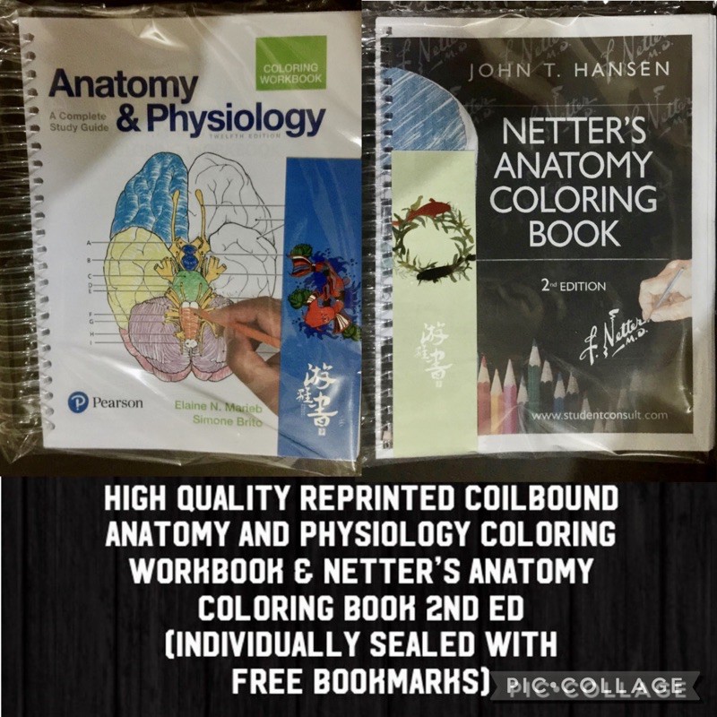 Sale Coilbound Netter S Anatomy Coloring Book 2nd Anatomy Physiology