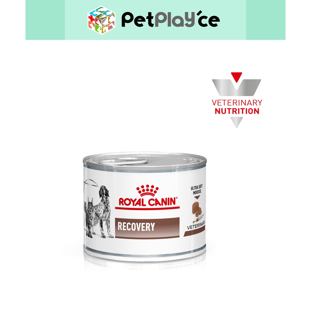 Royal Canin RECOVERY DIET in Can for Dog & Cat WET inCAN 195g VET Range ...