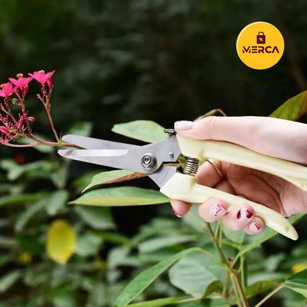 MERCA Garden pruning tool pruning branches bonsai pruning pliers ...