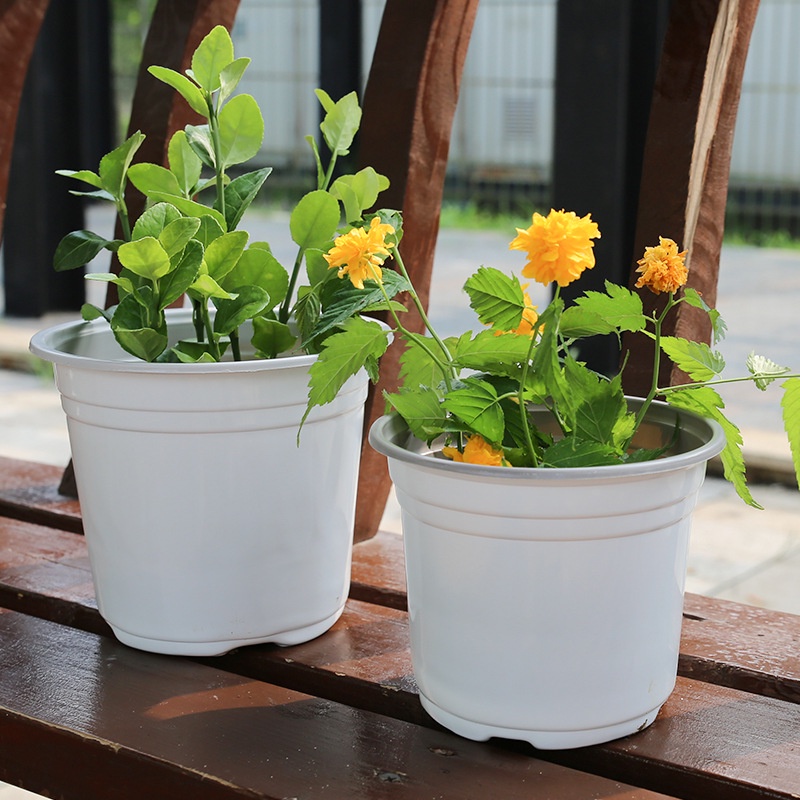 LHK 50pcs (11cm-21cm) Colored PVC Pots for Repot Nursery Pots Flower ...