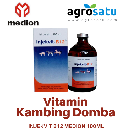 Vitamin B12 Goats Sheep Fattening Appetite Enhancer / INJEKVIT Medicine ...