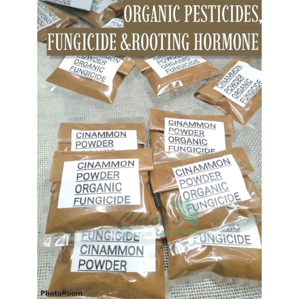 Cinnamon Powder Organic Fungicide, Rooting Hormone and Pest killer for ...