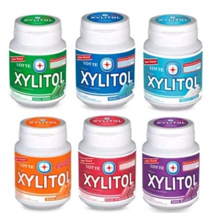 IMP LOTTE XYLITOL BUBBLE GUM FREE SUGAR 58G | Shopee Philippines