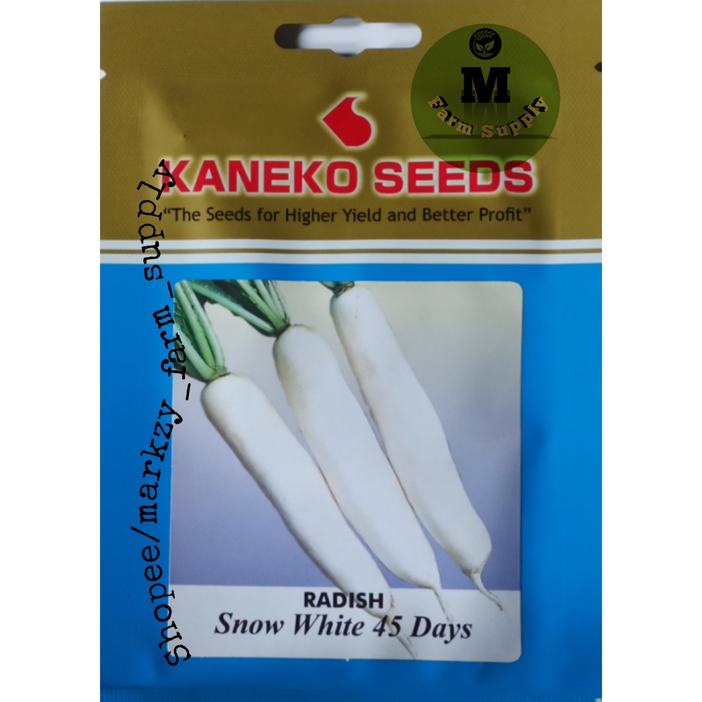 Snow White Radish Kaneko High Quality Seeds | Shopee Philippines
