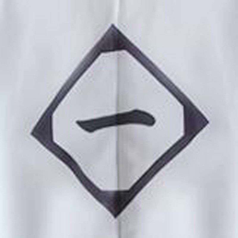 BLEACH White Haori Cosplay Costume From 1st to 13th Division Captain ...