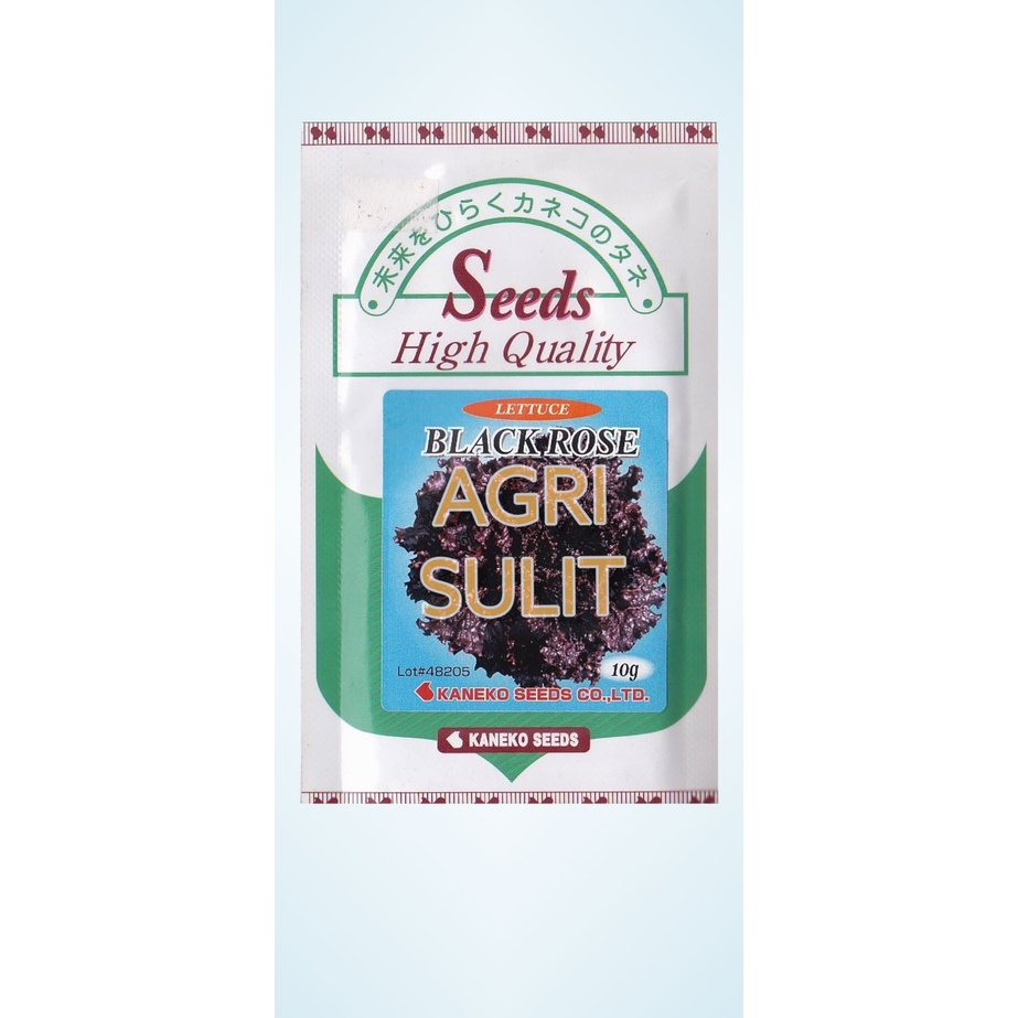 Black Rose Lettuce 10 grams (Kaneko) | Shopee Philippines