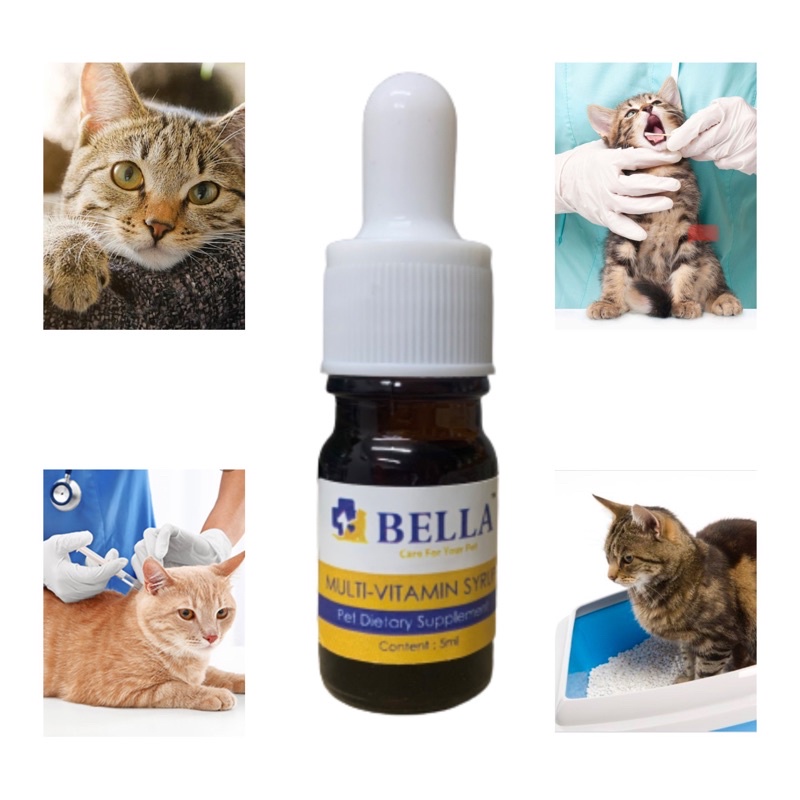 Bella Multivitamin Syrup for pet 10ml | Shopee Philippines