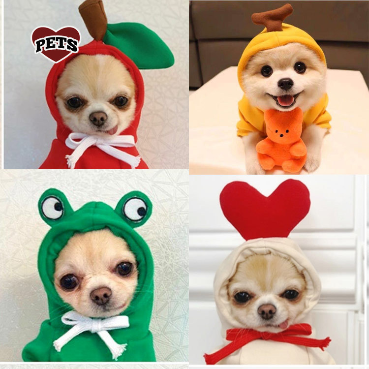 Puppy funny cut Fruit turned dog clothes cat clothing large dog clothes ...