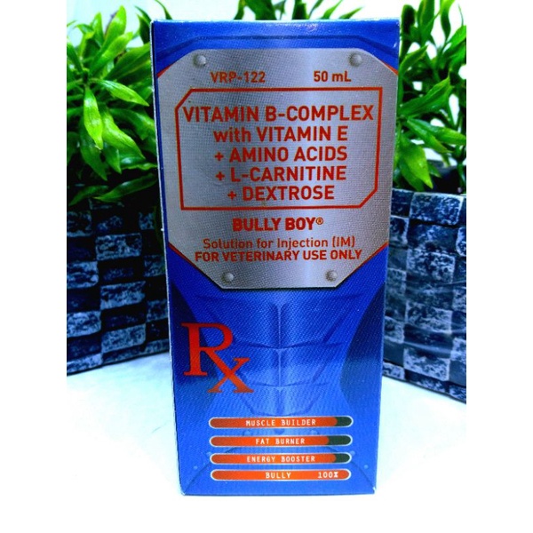 Bully Boy Vitamin B-Complex with Vitamin E+ Amino Acids + L-Carnitine ...