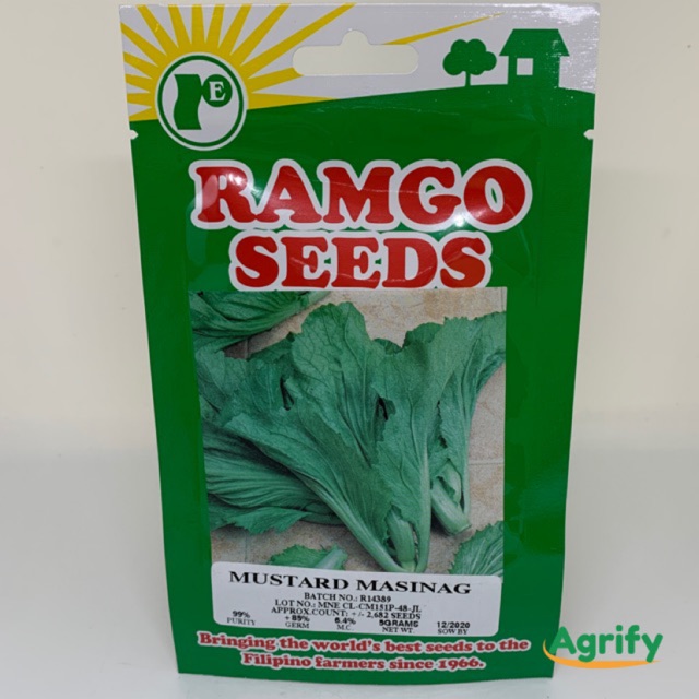 Mustard Masinag (Mustasa) 5g | ~2,682 Seeds | 100% Purity | 91% ...