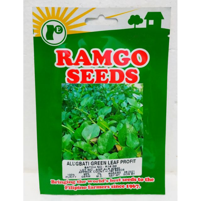 ALUGBATI GREEN LEAF PROFIT 190 SEEDS | Shopee Philippines
