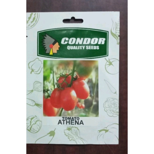 ATHENA OPV TOMATO SEEDS 3 GRAMS (CONDOR) | Shopee Philippines