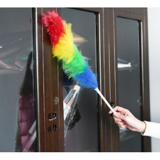 Rainbow Color Feather Dust Home Cleaning Tools SLD-01-03 | Shopee ...