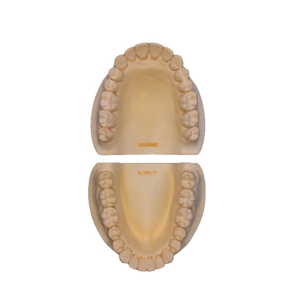 EDENTULOUS/Dentoulust CAST (COMPLETE) | Shopee Philippines