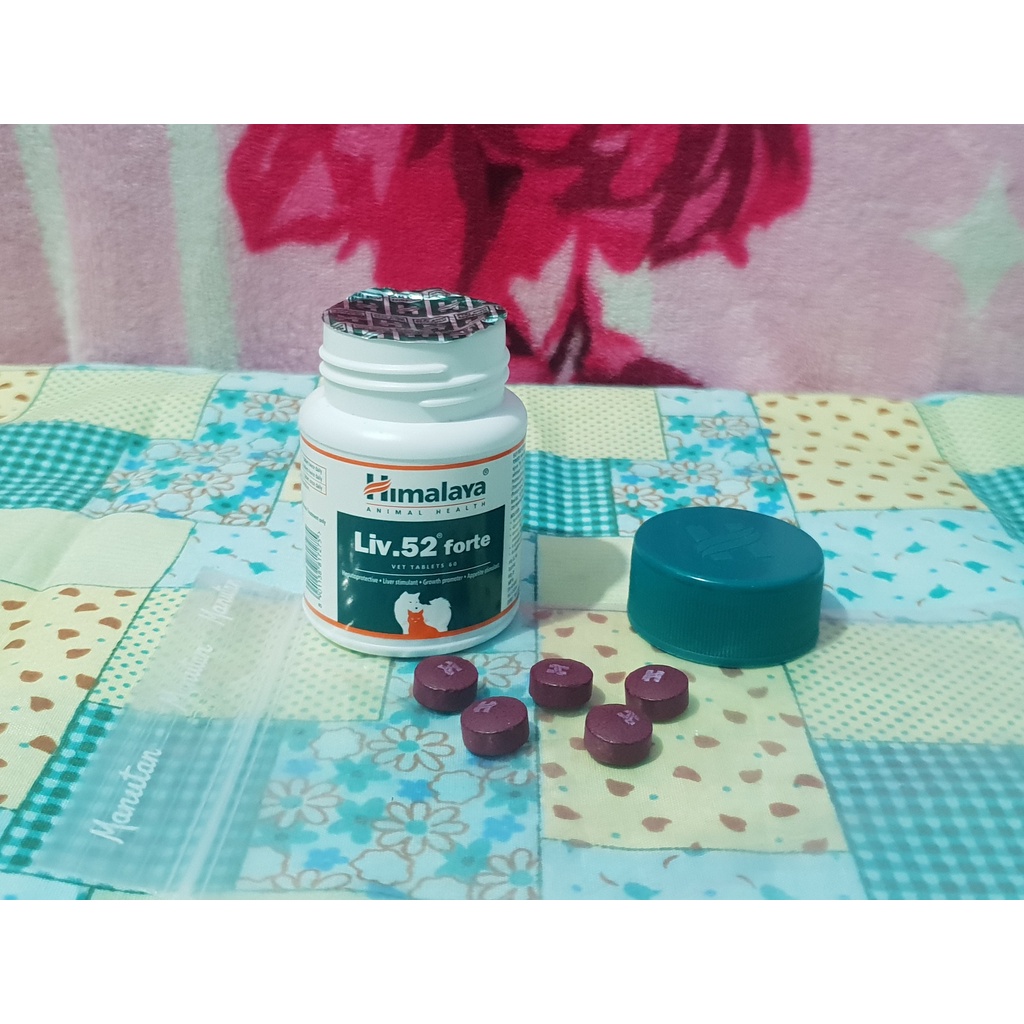 Himalaya Liv 52 Forte Vet Tablets for Liver Care of Dogs and Cats 1 pc ...