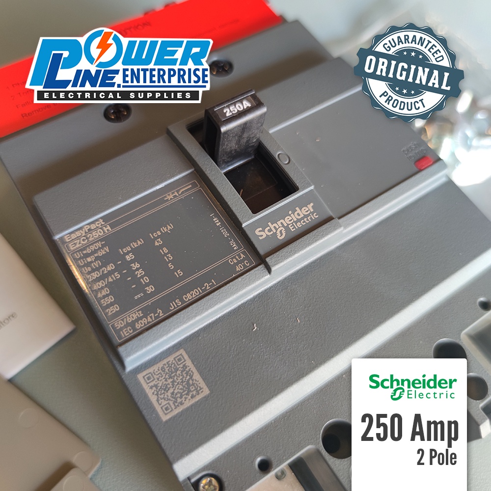Schneider EZC H 125A ~ 250A 2pole Circuit Breaker | Shopee Philippines