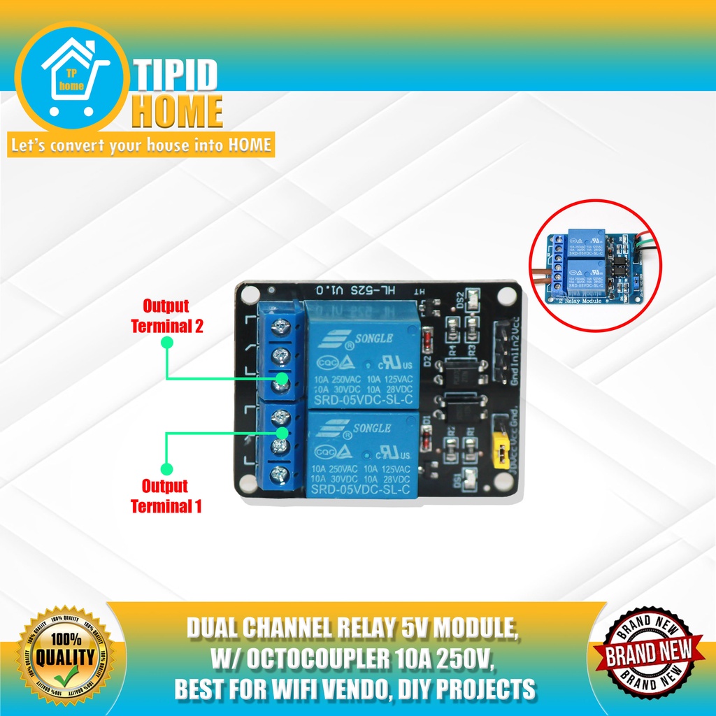 DUAL CHANNEL RELAY 5V MODULE, W/ OCTOCOUPLER 10A 250V, BEST FOR WIFI ...