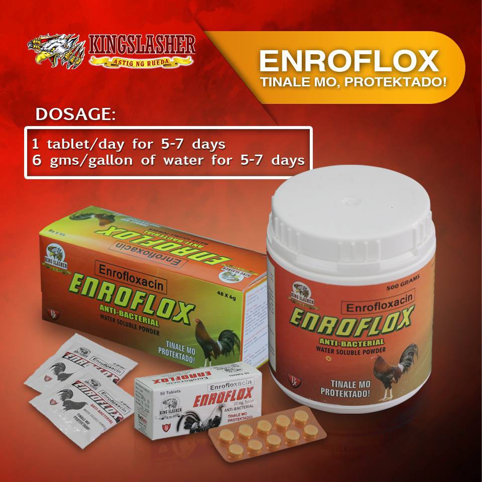 King Slasher Enroflox 6g x 48 sachet Anti-Bacterial Water Soluble Powder for Gamefowl | Shopee ...