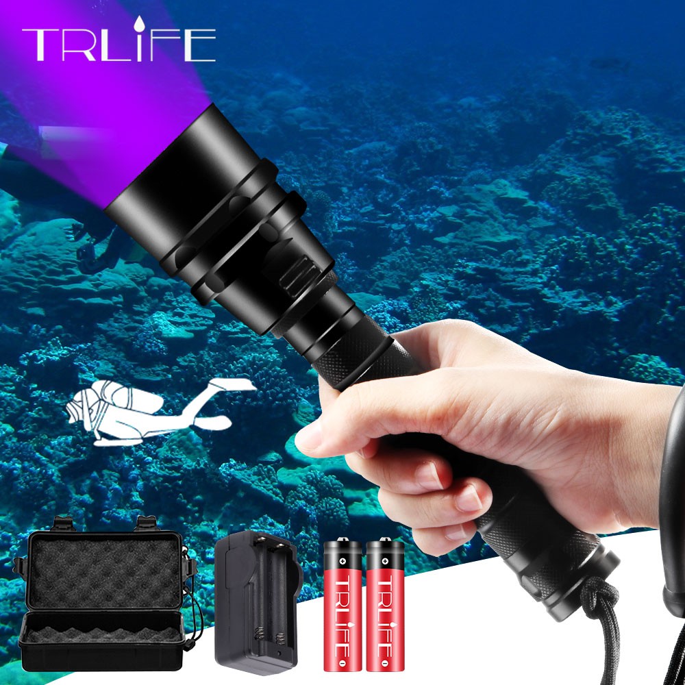 Diving LED Flashlight UV Scuba Ultraviolet 5/3 LED Lantern Purple Light ...