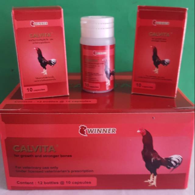 Calcium CALCIUM WINNER fighting chicken vitamin CALCIUM strengthens ...