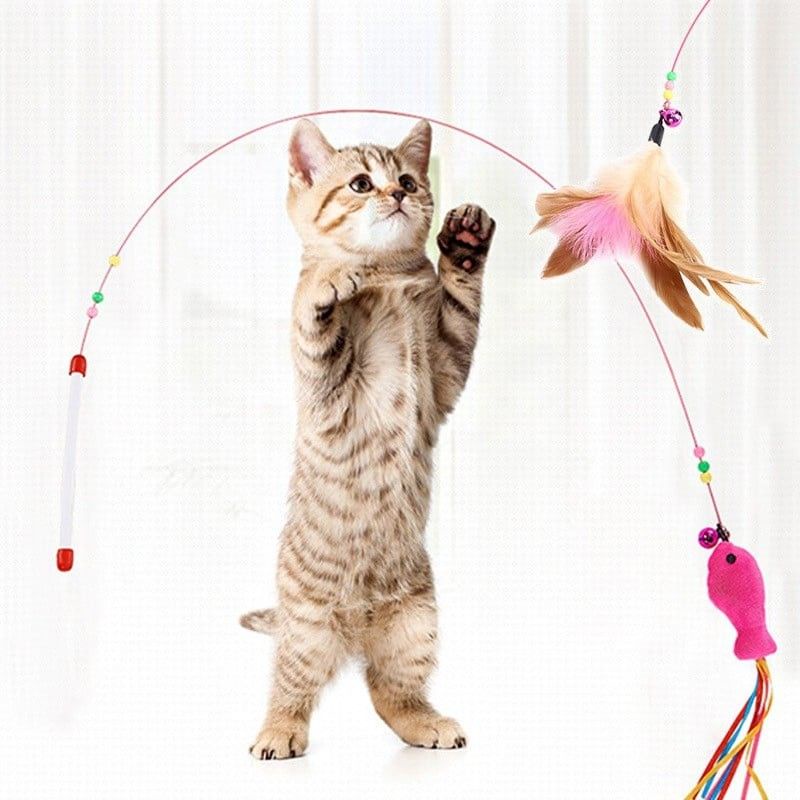 Engaging Cat Amusement Toy: Teaser Stick with Collars, Feathers, and ...