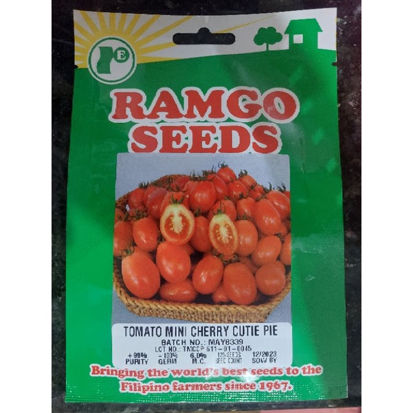 Tomato Mini Cherry Cutie Pie (125 seeds) Cherry Tomato by Ramgo Seeds ...