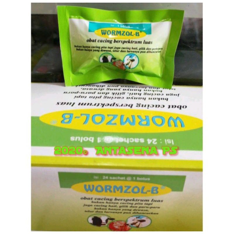 Wormzol Bolus (Powerful Cow And Ox Worm Medicine) | Shopee Philippines
