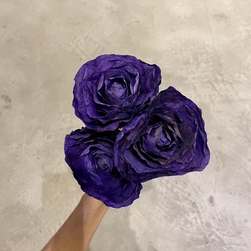 Fossilized/Dried Rose Flower (3 stems) | Shopee Philippines