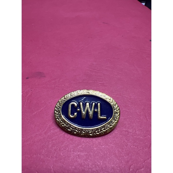 Religious Pin (For altar servers and for religious organizations ...