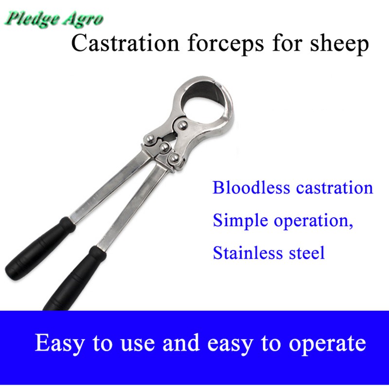 Castration tools sheep ram burdizzo castrator knife pliers pincers ...
