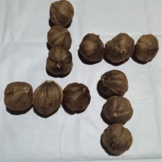 goiter - Best Prices and Online Promos - Aug 2024 | Shopee Philippines