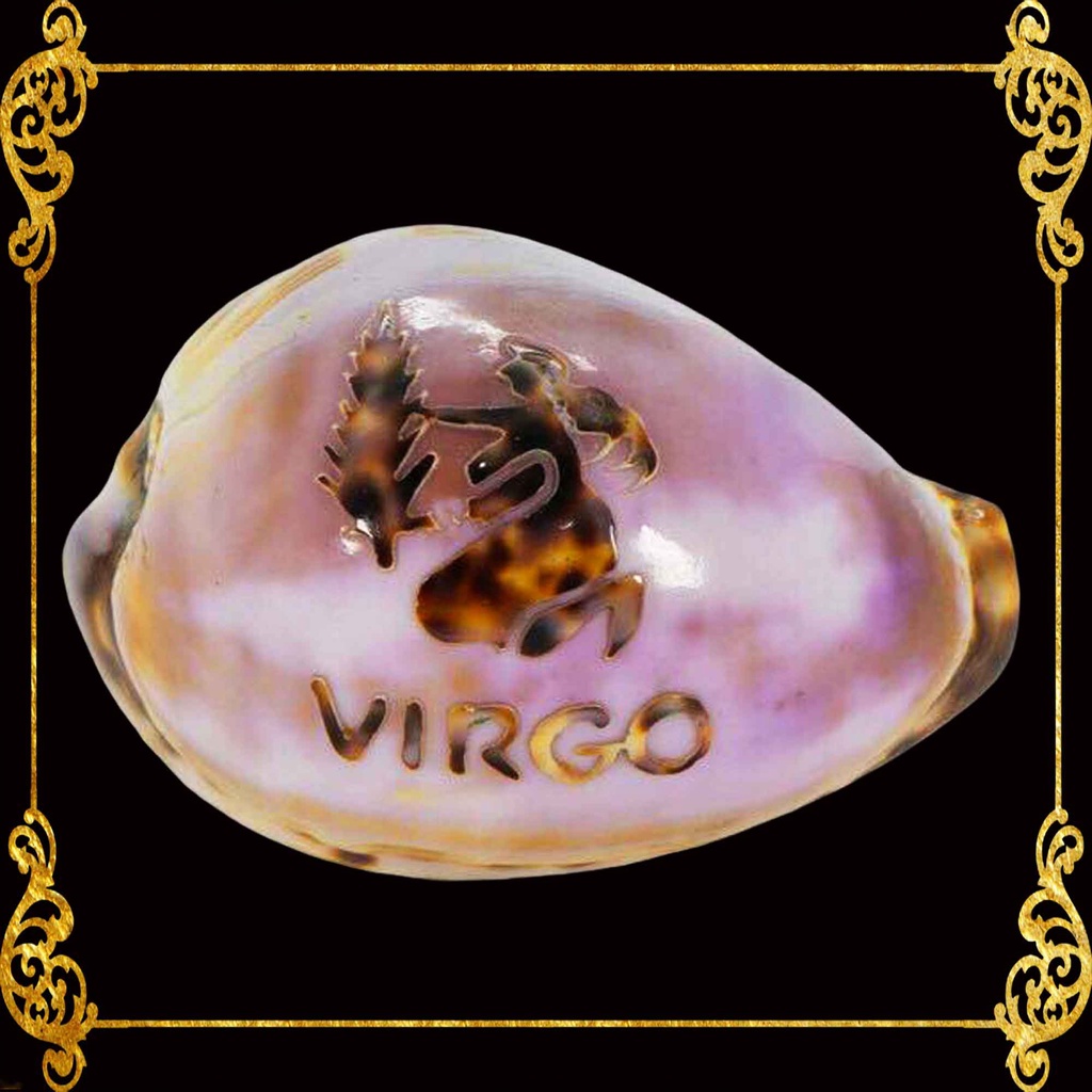 Zodiac Sign | Virgo | Made of Real Sea Shells | Shopee Philippines