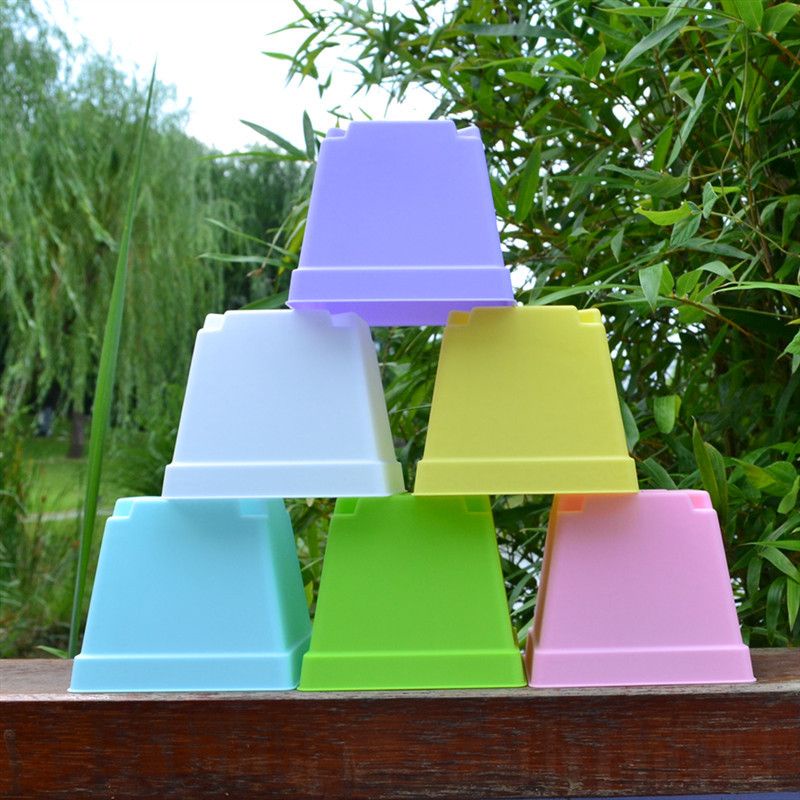 (10 pcs per order)Small colorful 10cm mini square cactus and succulent ...