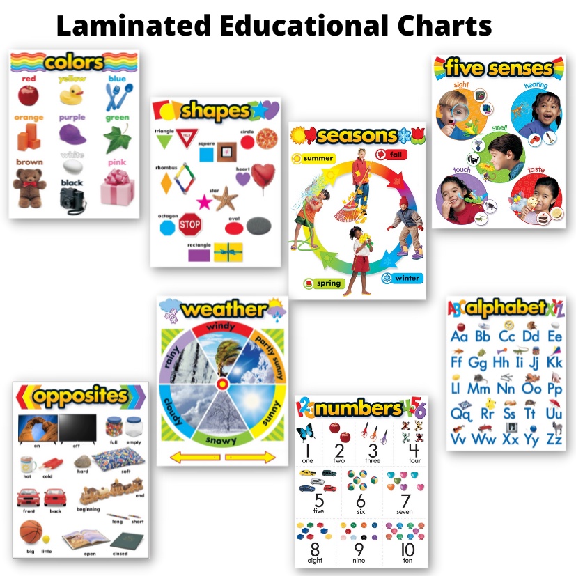 Laminated Charts, Alphabet, Color, Shapes, Five Senses, Numbers ...