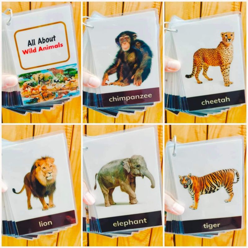Wild animals insects farm animals sea animals educational flash cards ...