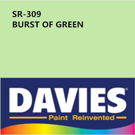 SR-309 DAVIES 1L BURST OF GREEN . | Shopee Philippines