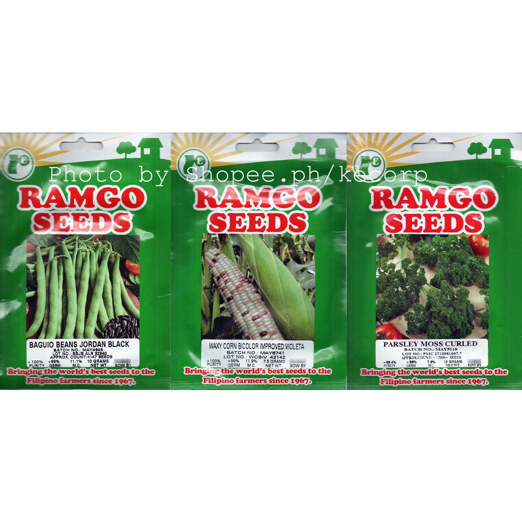 Ramgo Seeds RPD - Sold per Pack per Variety KECORP_S1 | Shopee Philippines