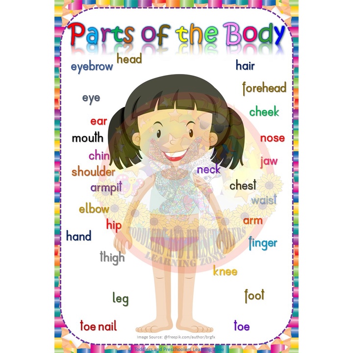 Parts of the BODY | English | Tagalog | A4 size | Reusable activities ...
