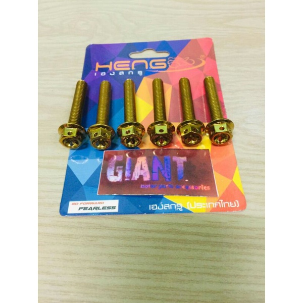 Heng gold tpost bolts for raider 150 carb and fi and Raider J 115 fi ...