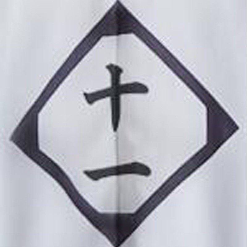 BLEACH White Haori Cosplay Costume From 1st to 13th Division Captain ...