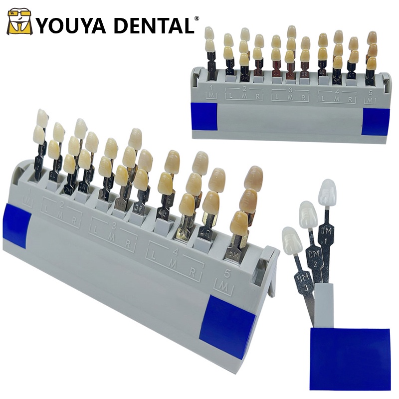 29 Colors Dental Teeth Toothguide Shade Guide With Bleached Dentistry ...