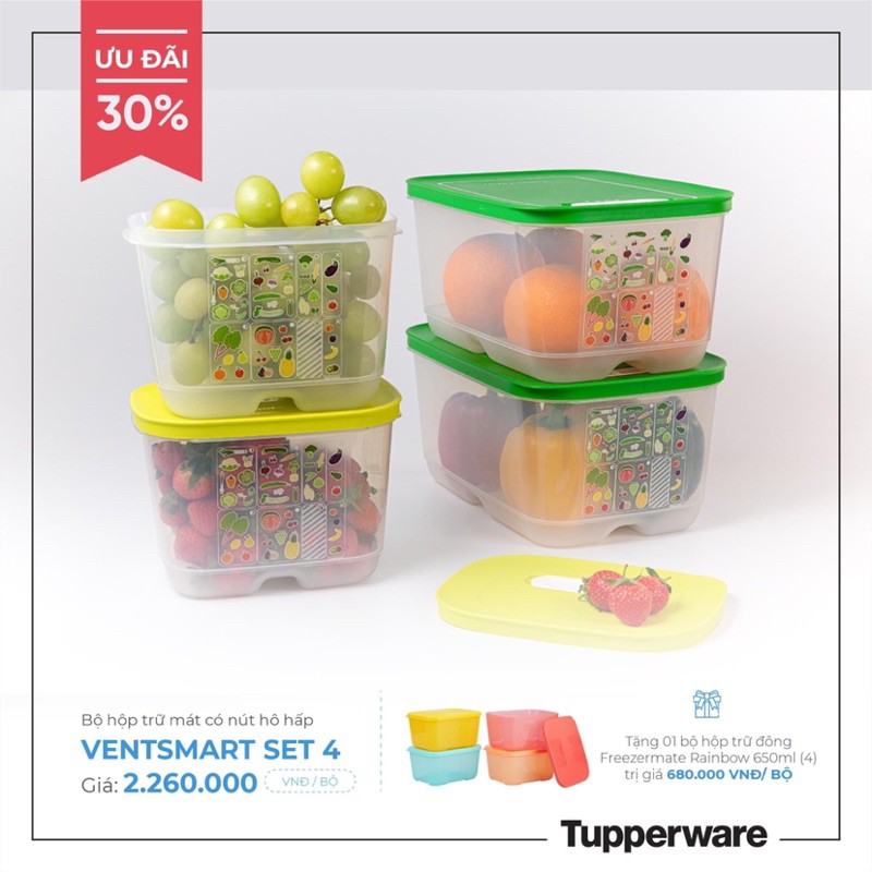 Ventsmart 4 TUPPERWARE VEGETABLE STORAGE SET | Shopee Philippines