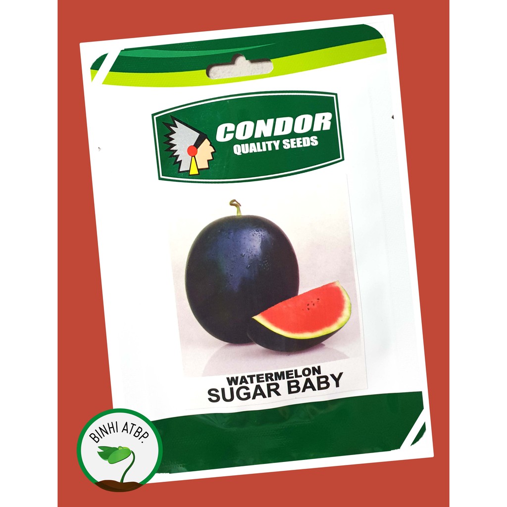 Condor Watermelon Sugar Baby Seeds (3 Gr Pack) | Shopee Philippines