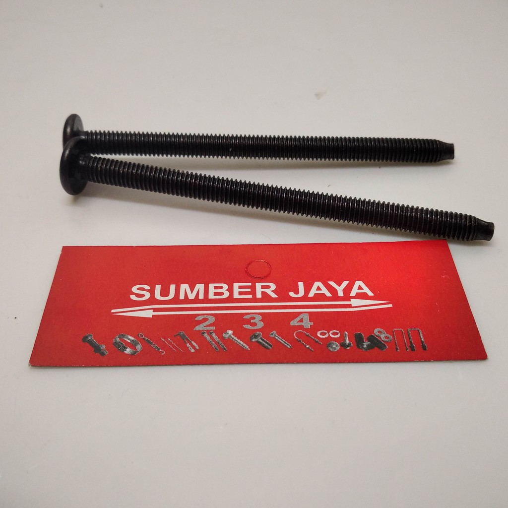 L M6X90 Bolts / JFL M6X90 Bolts | Shopee Philippines