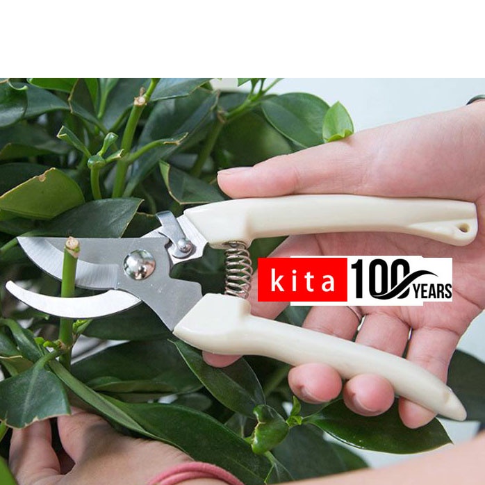 3pcs (YELLOW) Pruning Shears Cutter Home Gardening Plant Scissor Branch ...