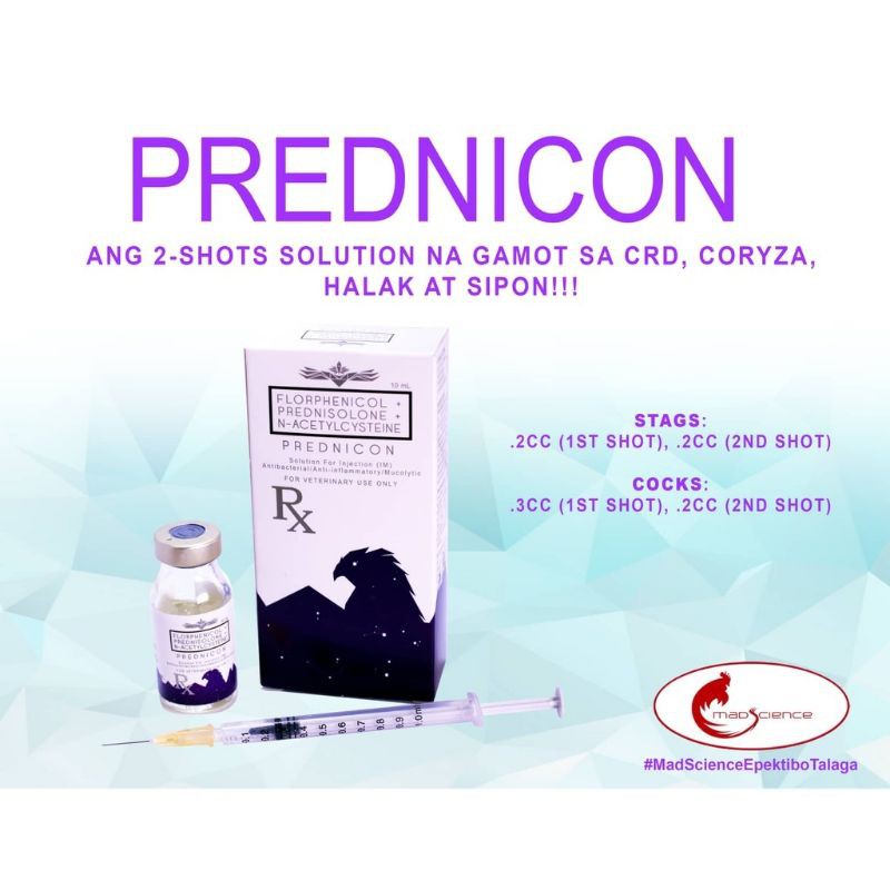 Prednicon solution 10ml | Shopee Philippines