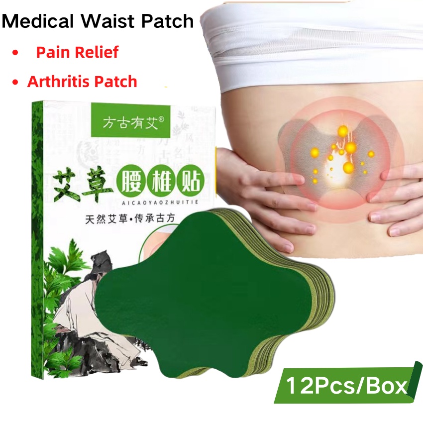 24pcs Medical Waist Plaster Wormwood Extract Joint Ache Pain Relieving ...