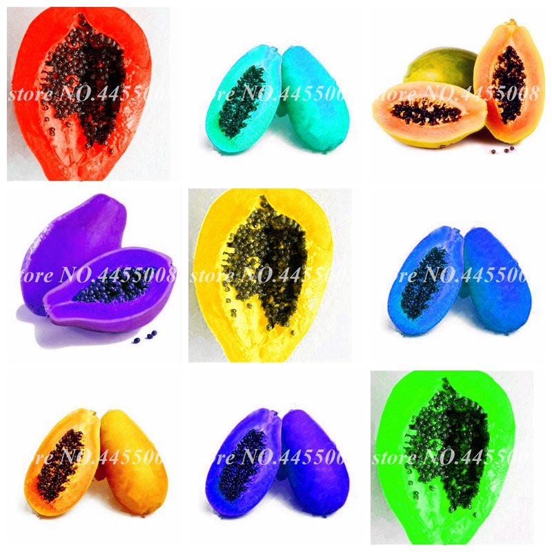 30 Pcs Seeds Papaya Bonsai Heirloom Vegetable Fruit Plants Potted Tree ...