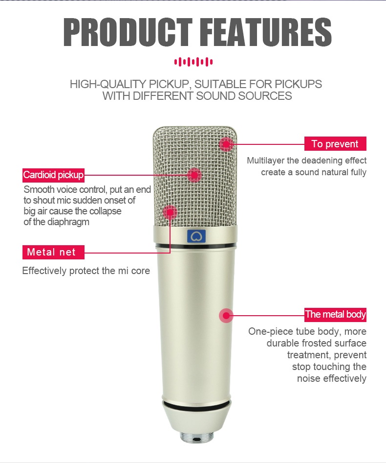 RAYHAYES Condenser microphone for professional studio Singer/microphone ...